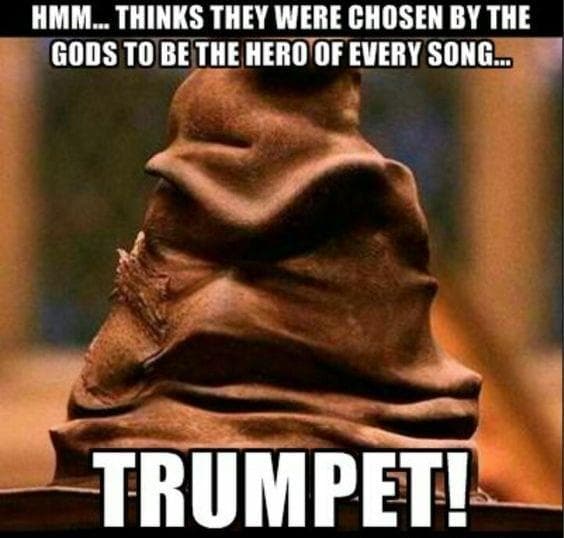 These Super Smart Sorting Hat Memes Are Always Right
