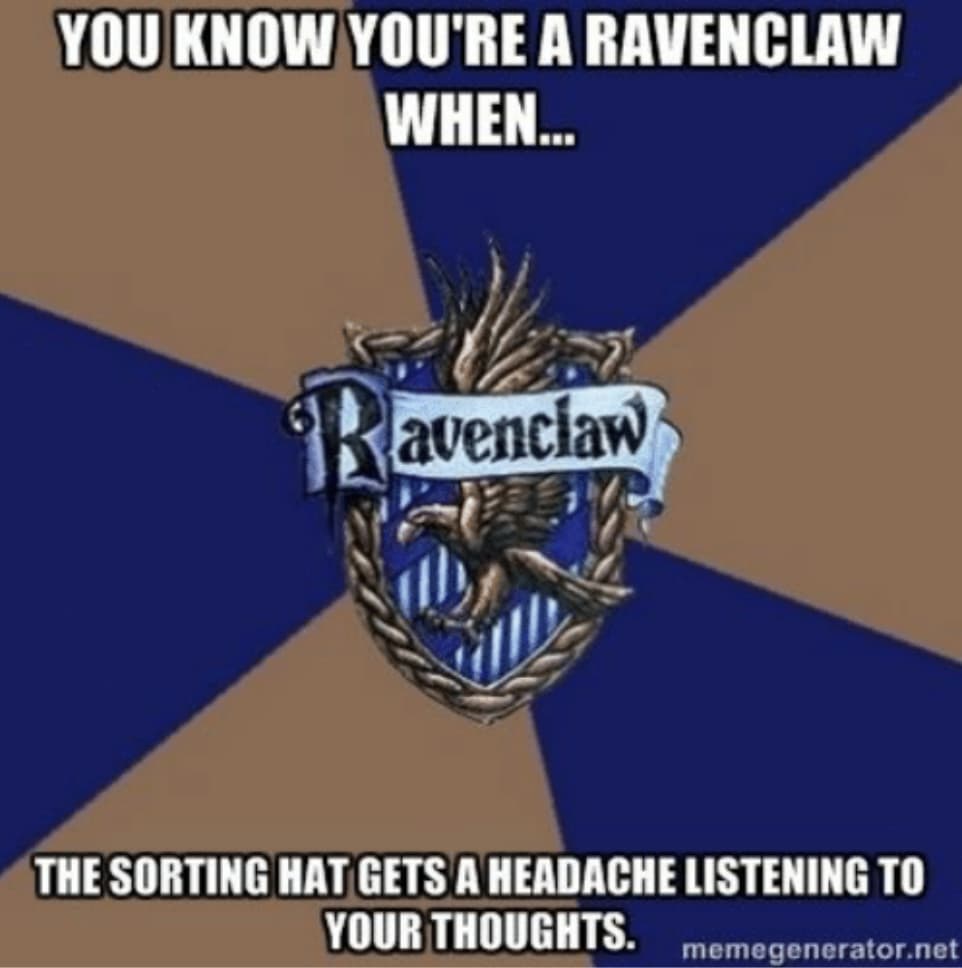 These Super Smart Sorting Hat Memes Are Always Right