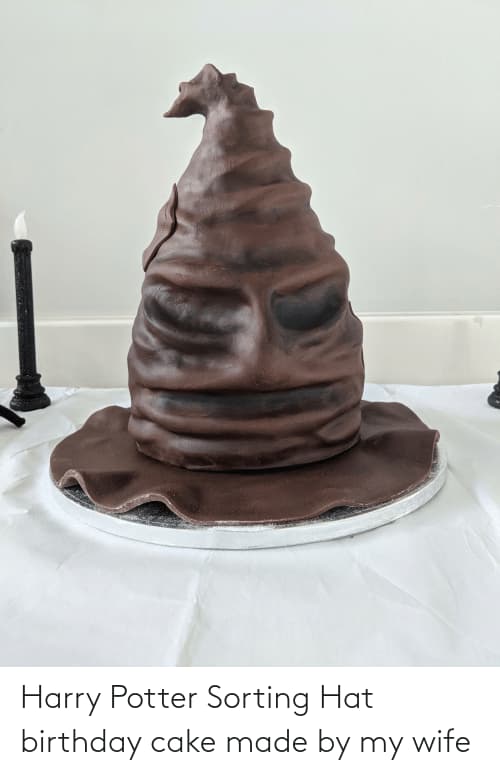 These Super Smart Sorting Hat Memes Are Always Right