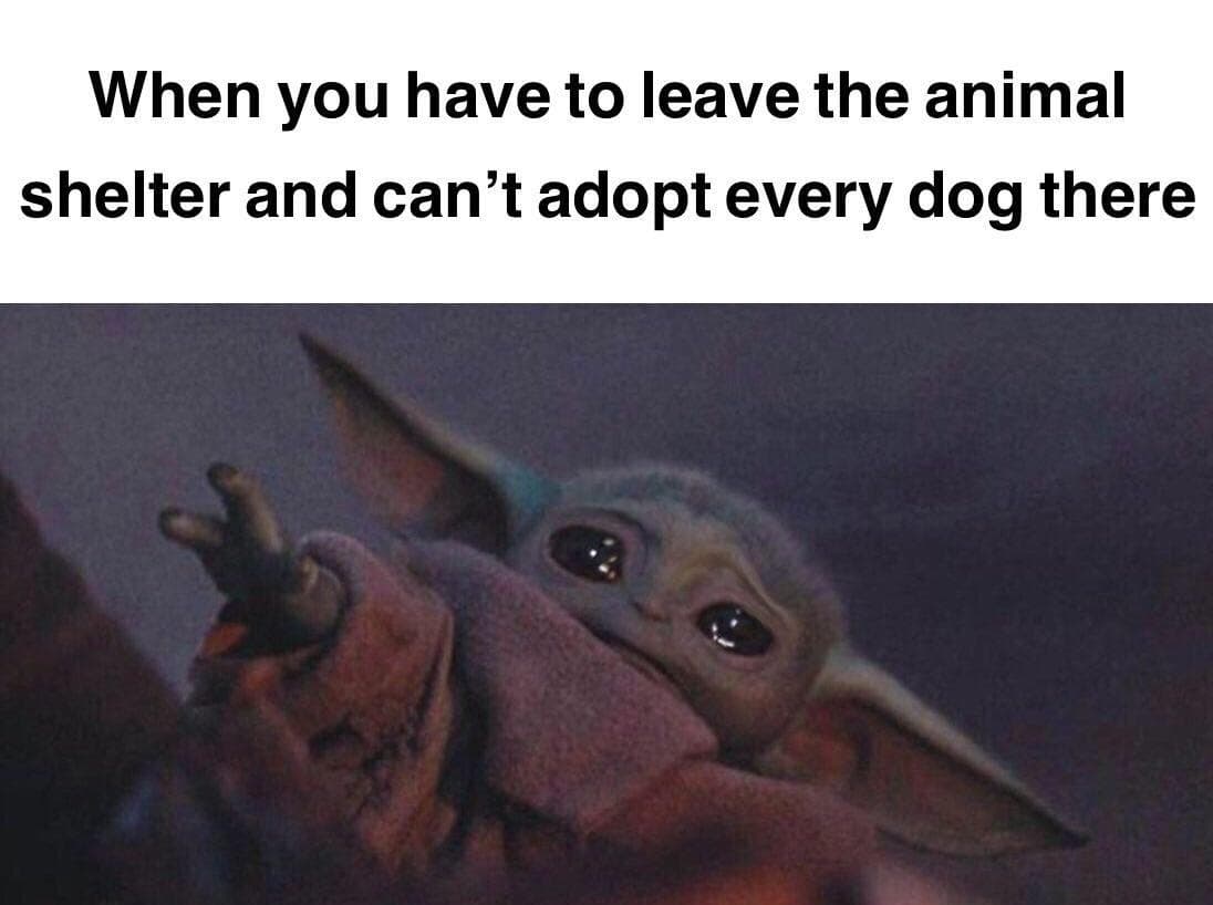 25 Wholesome Grogu Memes To Show You This Is The Way