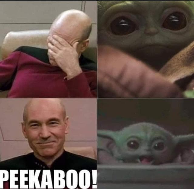 25 Wholesome Grogu Memes To Show You This Is The Way