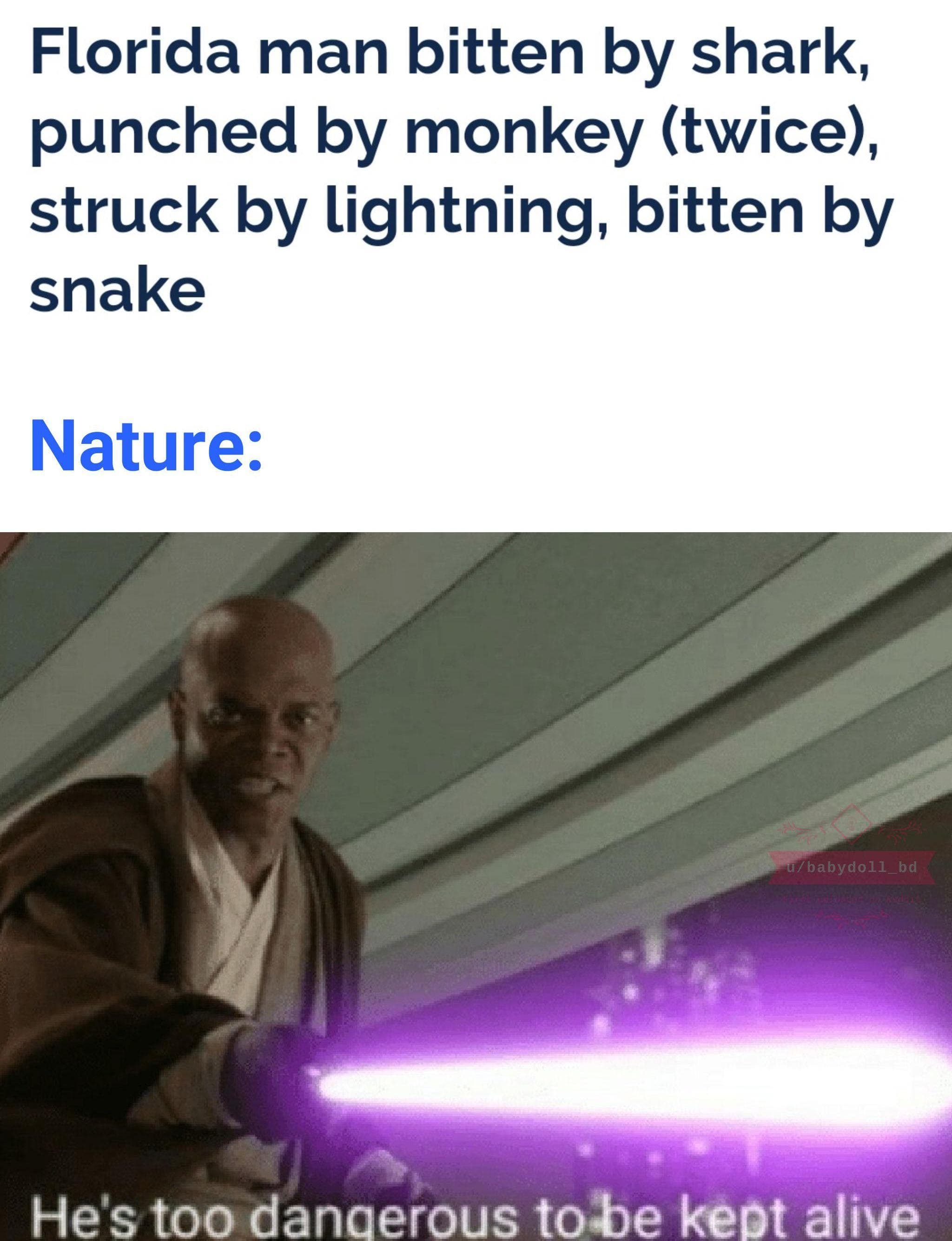 20 Funny Mace Windu Memes That'll Make You Want To Arrest The Chancellor