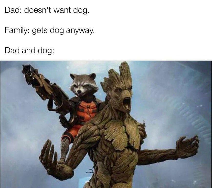 22 Funny Memes About The Guardians of the Galaxy That Will Leave You ...