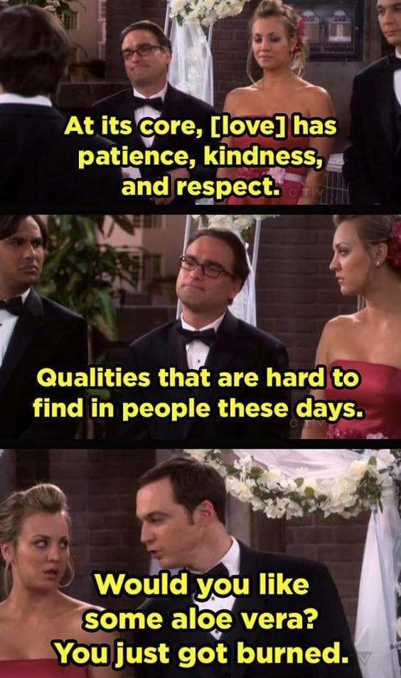 The Most Genius Insults On 'The Big Bang Theory'