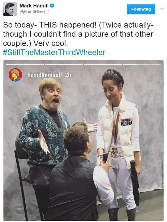 17 Wholesome Mark Hamill Tweets That Just Make Us Feel Good