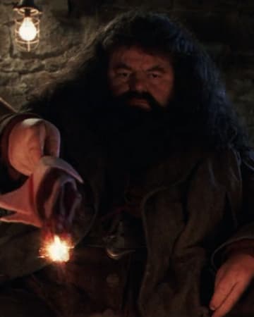 15 Interesting Hagrid Fan Theories That We Really Want To Believe