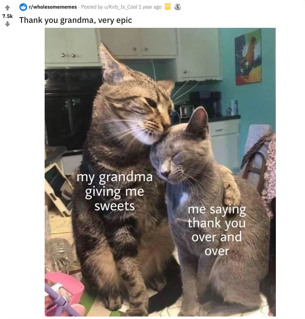 23 Funny Memes About Grandmas That Prove They Need To Be Protected At ...