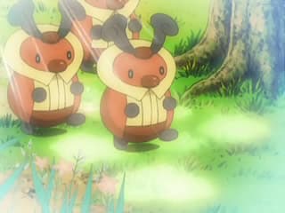 20 Interesting Things You Probably Didn't Know About Bug Pokemon