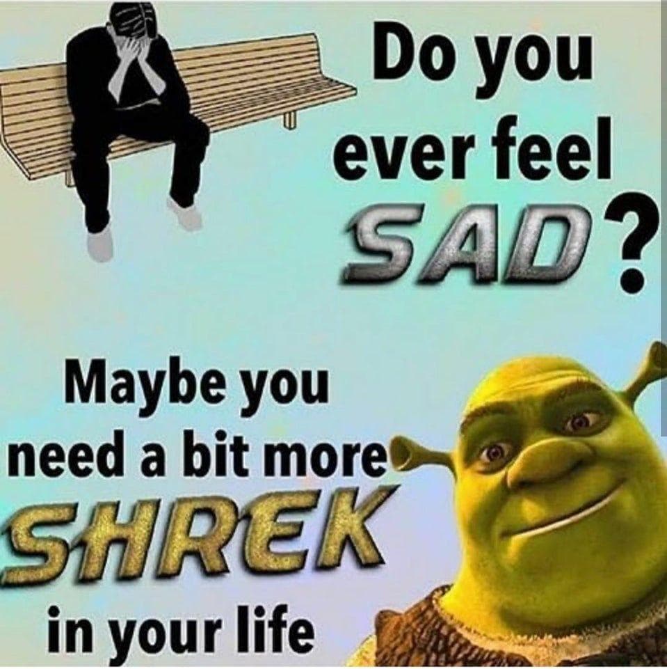 30 'Shrek' Memes For Fans Who Love The Ogre Movies More Than Life