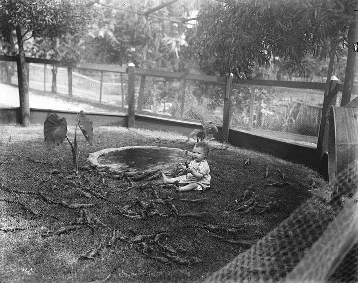 17 'Cursed' Historical Photos That Made Us Say 'What Is Happening?'