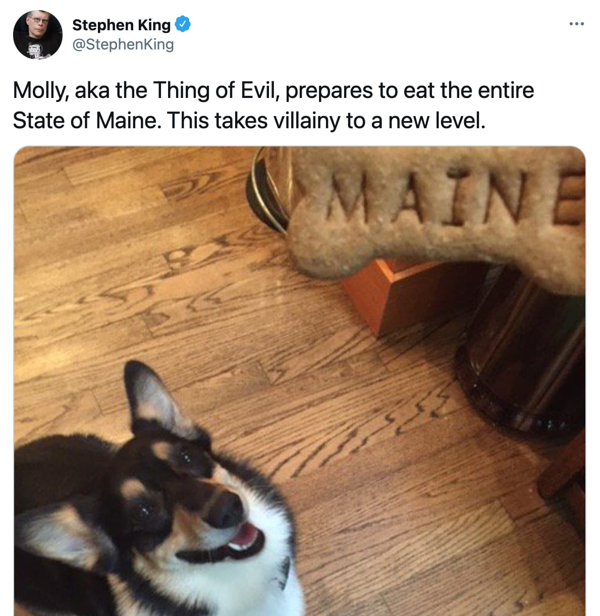 22 Stephen King Tweets About His Corgi Molly