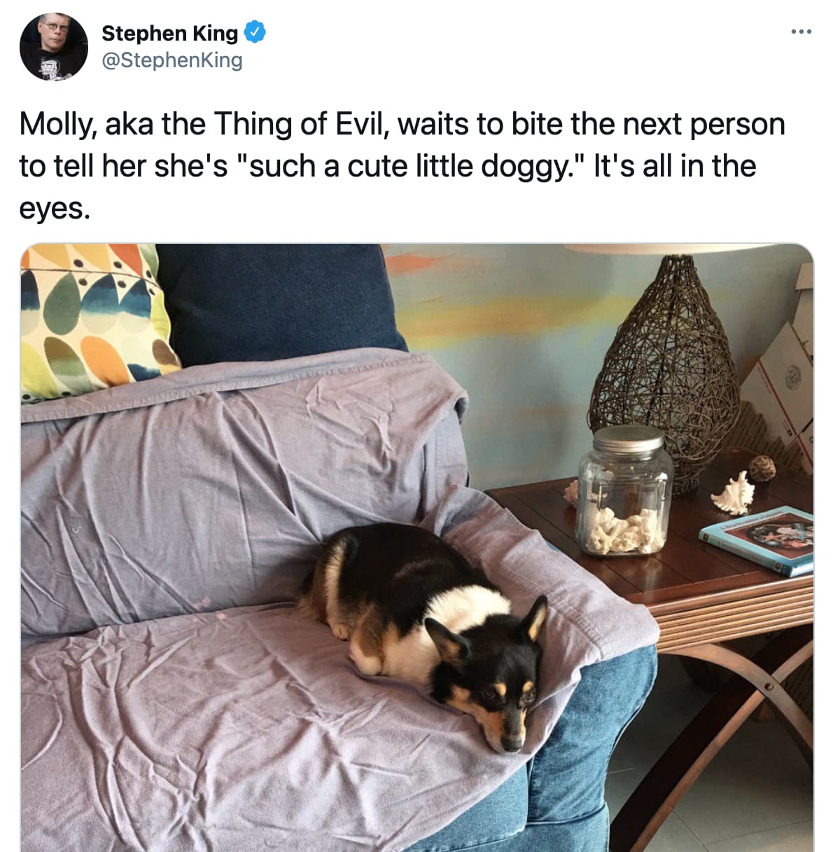 22 Stephen King Tweets About His Corgi Molly