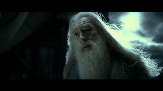 Interesting Details About Dumbledore That Harry Potter Fans Spotted
