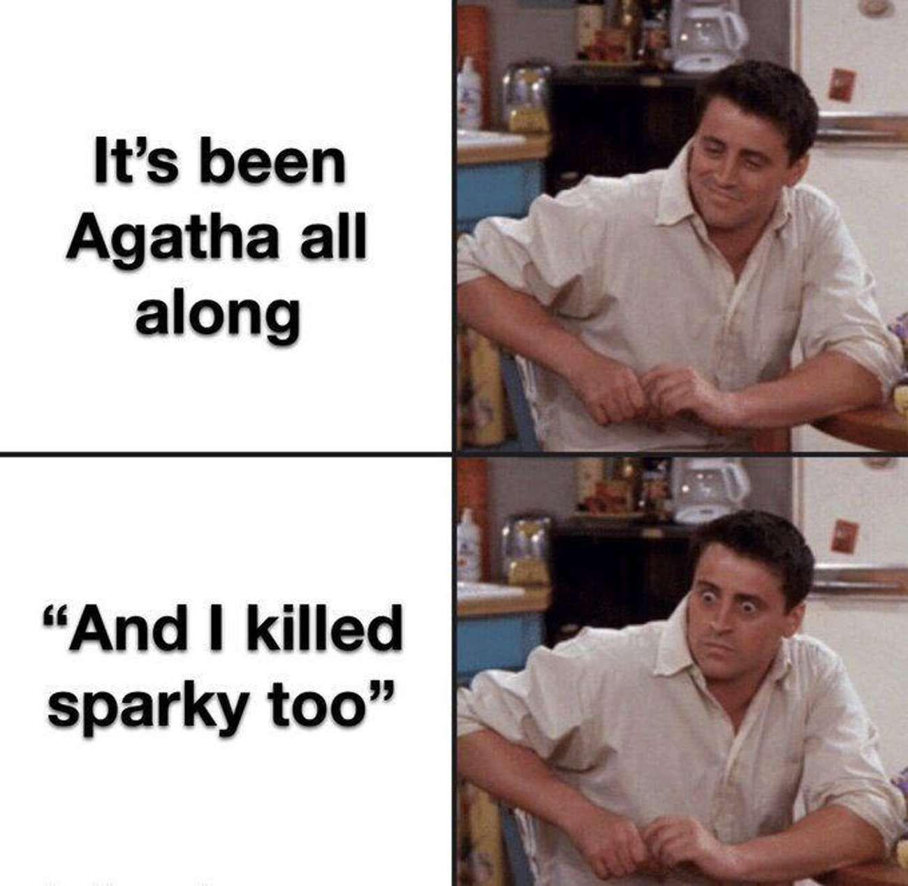 20 Agatha Harkness Memes That Have Us Singing Along