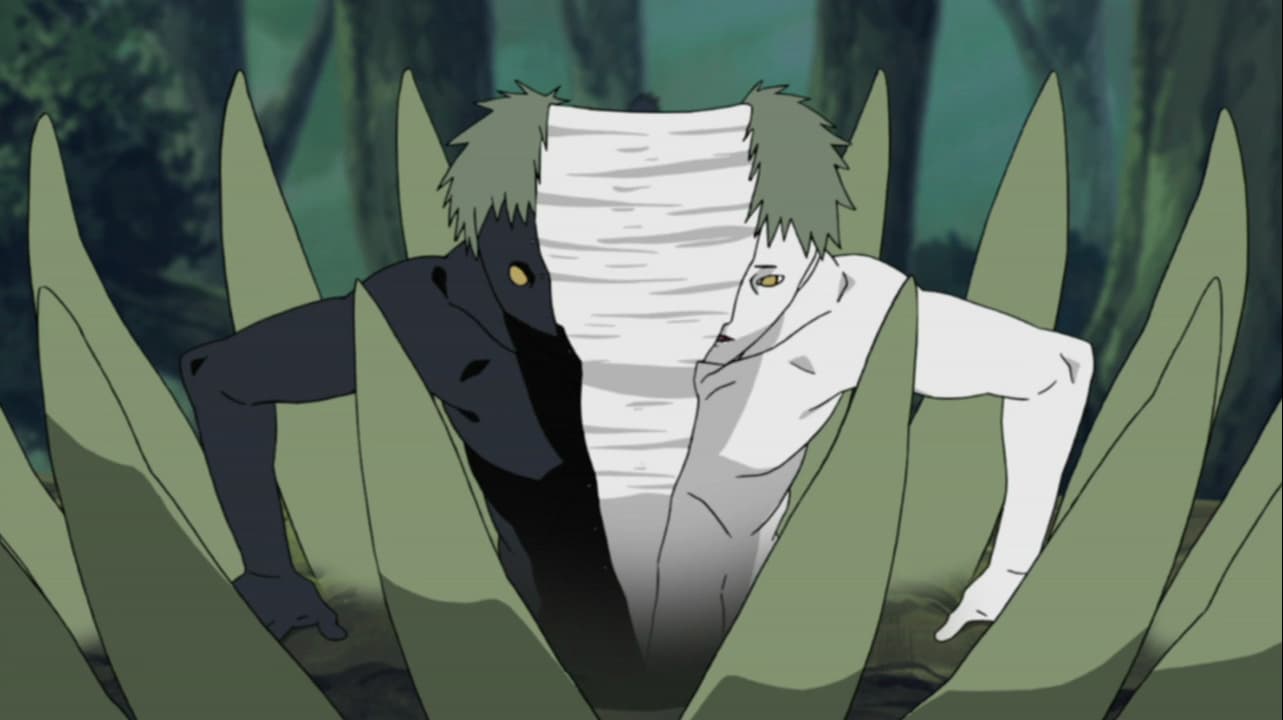 13 Interesting Things You DIdn't Know About Zetsu