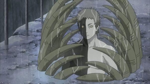 13 Interesting Things You DIdn't Know About Zetsu