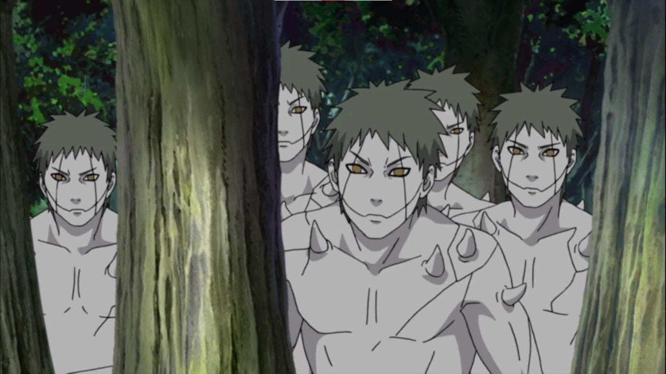 13 Interesting Things You DIdn't Know About Zetsu