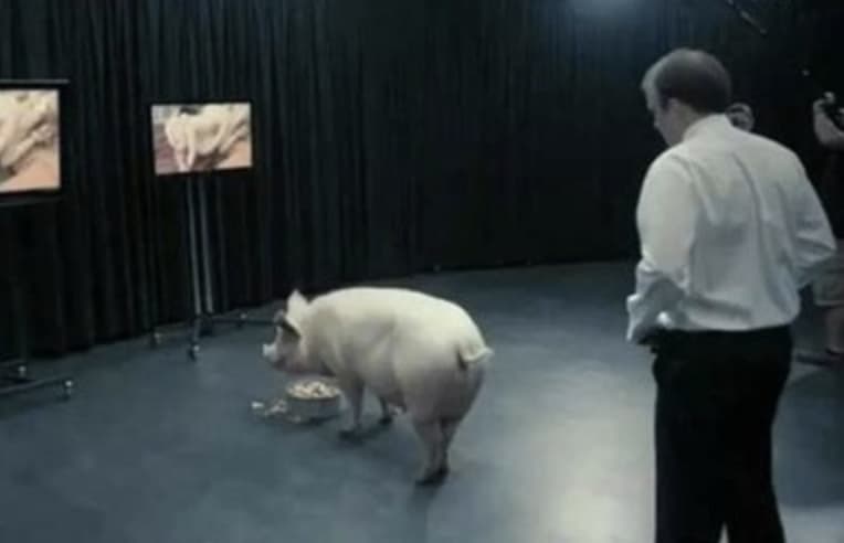 Awkward Moments In TV Shows That People Admit To Struggling Through