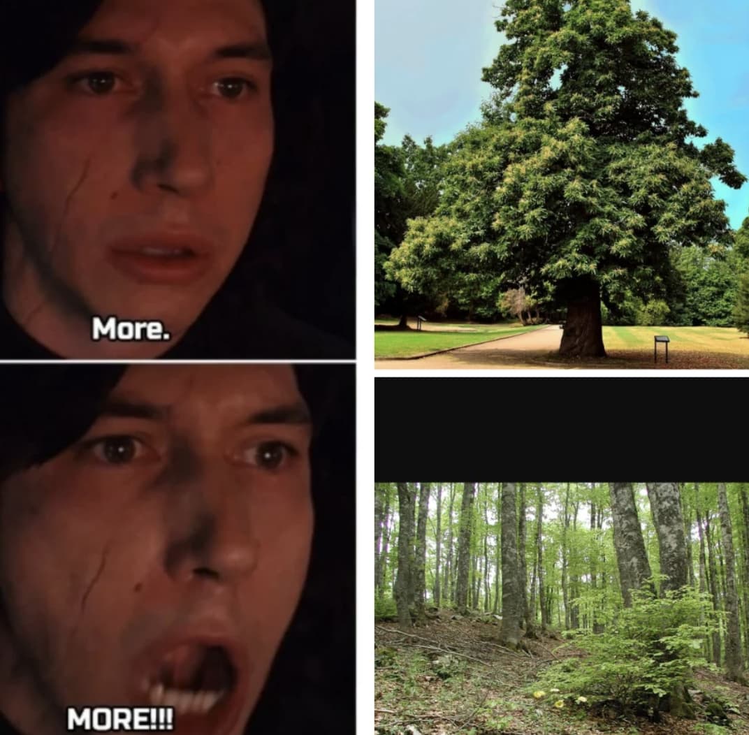 14 Funny Environmental Memes That We HAD To Recycle On The Timeline