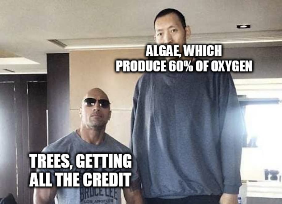 14 Funny Environmental Memes That We HAD To Recycle On The Timeline