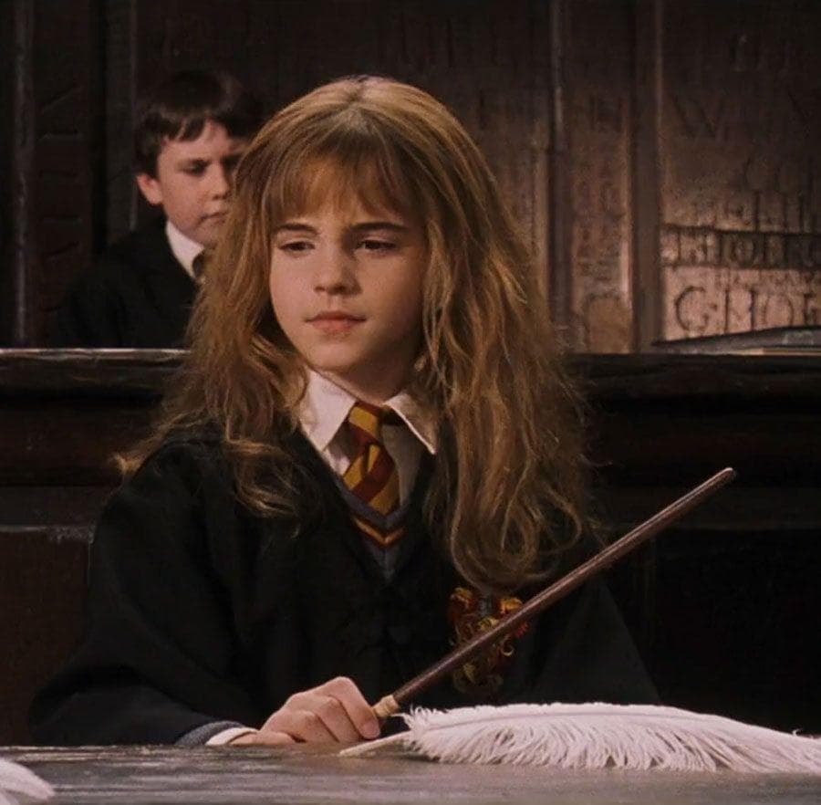 Hermione Grangers First Wand