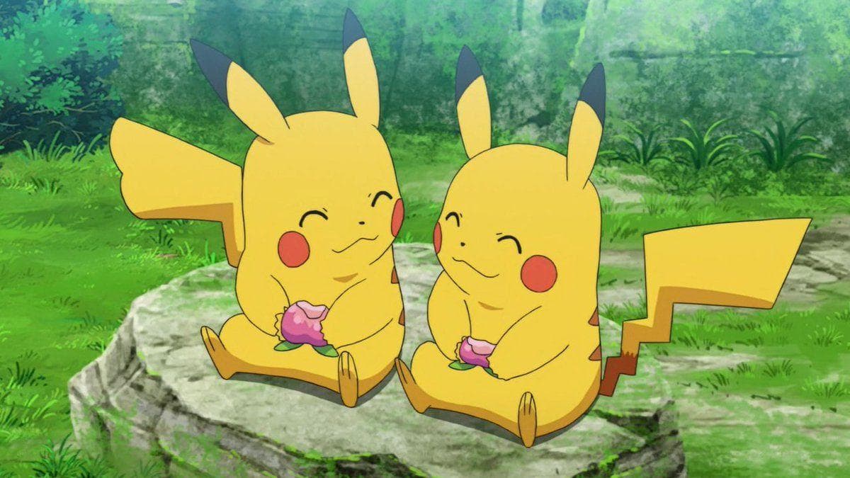 15 Things You Probably Didn't Know About The Pikachu Family