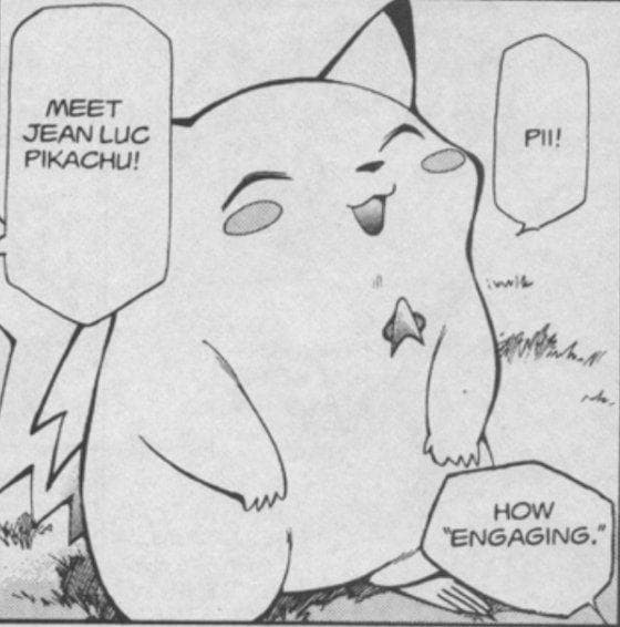 15 Things You Probably Didn't Know About The Pikachu Family