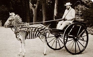 21 Photographs From History Guaranteed To Make You Smile