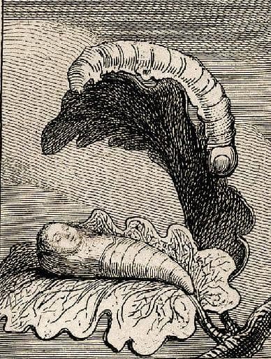 9 Timeless Ancient Curses To Use Against Your Enemies