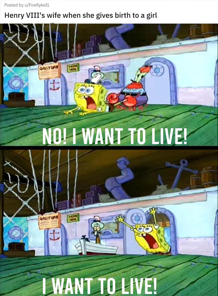 19 Hilarious Memes About The Tudors That Deserve The Royal Treatment