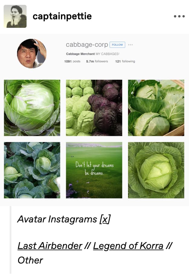 19 Memes About The Cabbage Man From 'Avatar: The Last Airbender'