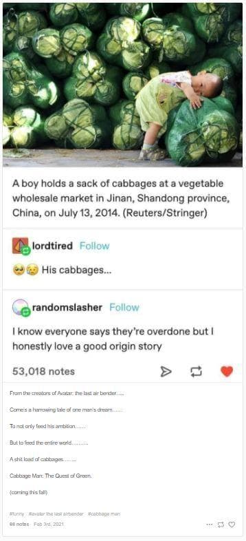 19 Memes About The Cabbage Man From 'Avatar: The Last Airbender'