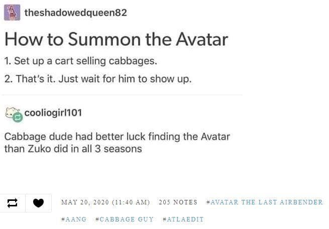 19 Memes About The Cabbage Man From 'Avatar: The Last Airbender'