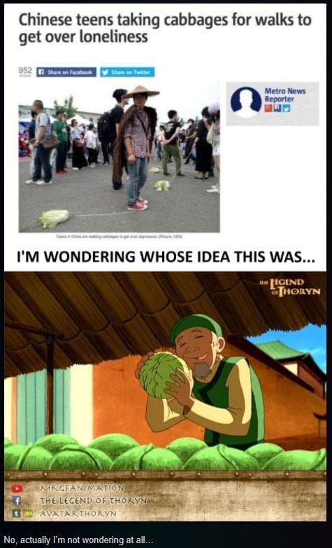 19 Memes About The Cabbage Man From 'Avatar: The Last Airbender'