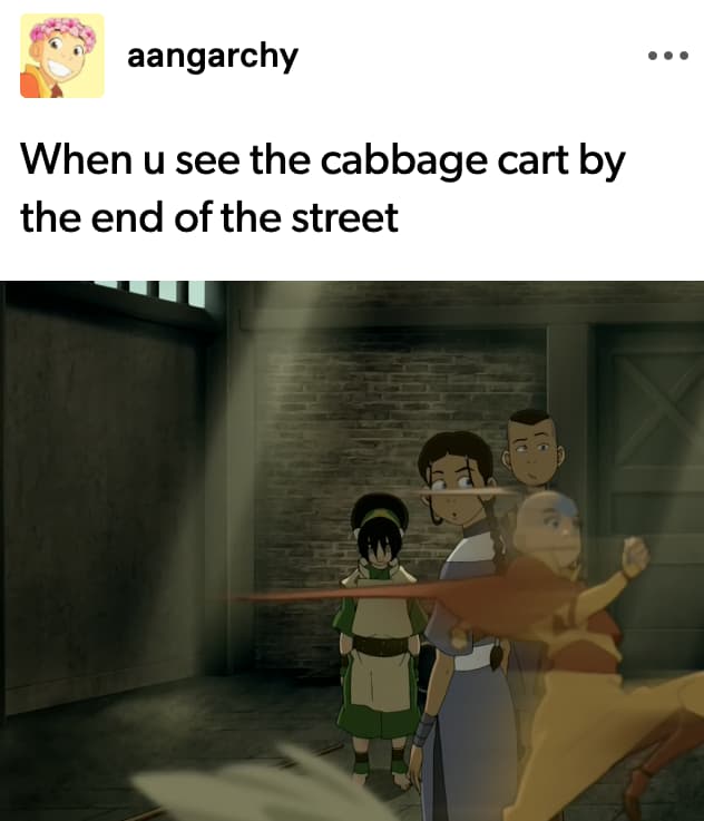 19 Memes About The Cabbage Man From 'Avatar: The Last Airbender'