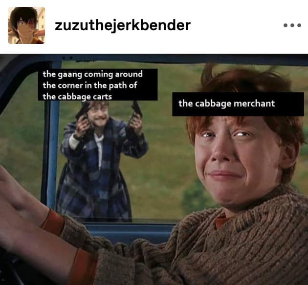 19 Memes About The Cabbage Man From 'Avatar: The Last Airbender'