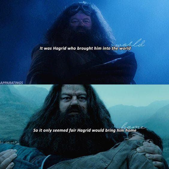 Harry Potter Fans Share The Sad Moments That Made Them Ugly Cry