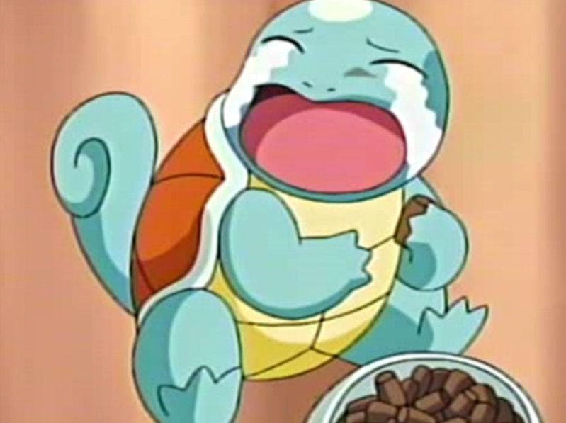 15 Interesting Things You Probably Didn't Know About The Squirtle Family