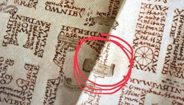 Hyper Specific Details In The 'Harry Potter' Movies