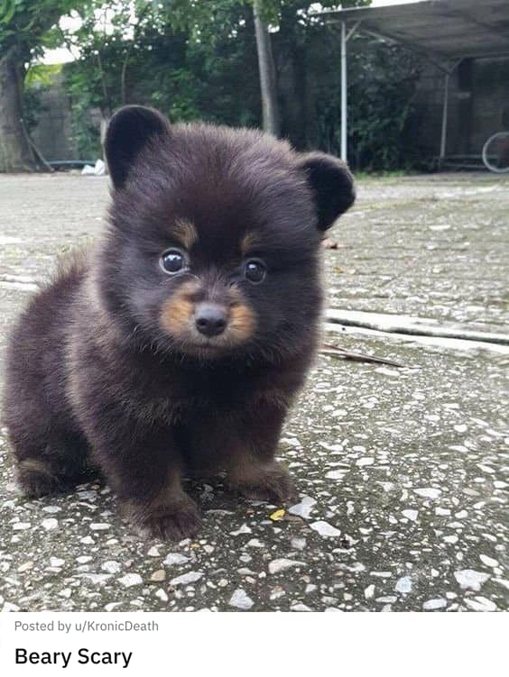 Adorable Baby Pictures Of Terrifying Creatures That Made Us Say, 'Awww'