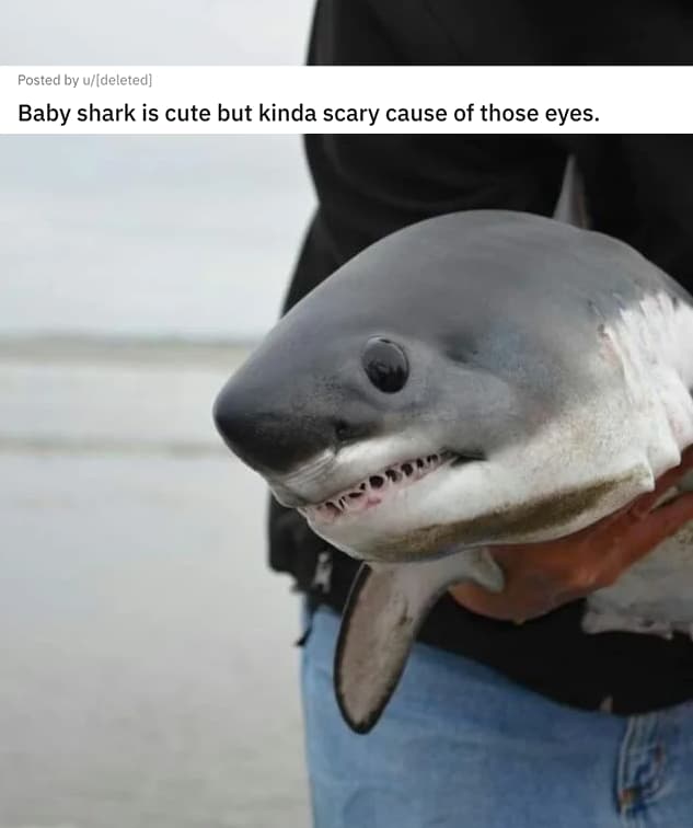 Adorable Baby Pictures Of Terrifying Creatures That Made Us Say, 'Awww'