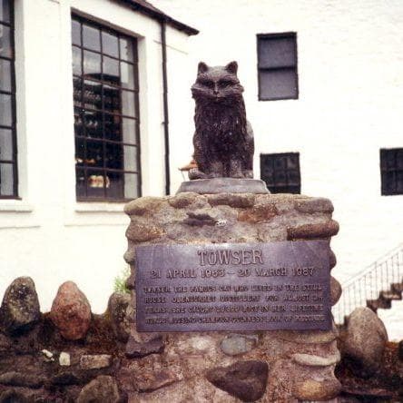 Moving Stories Behind Statues Dedicated To Animals