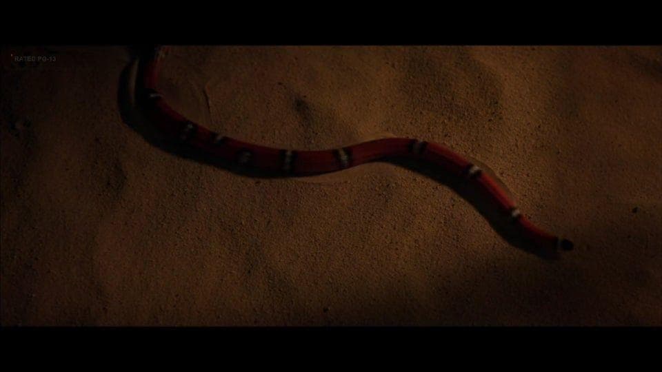 'The Mummy' Behind-The-Scenes Details That Make It A Classic