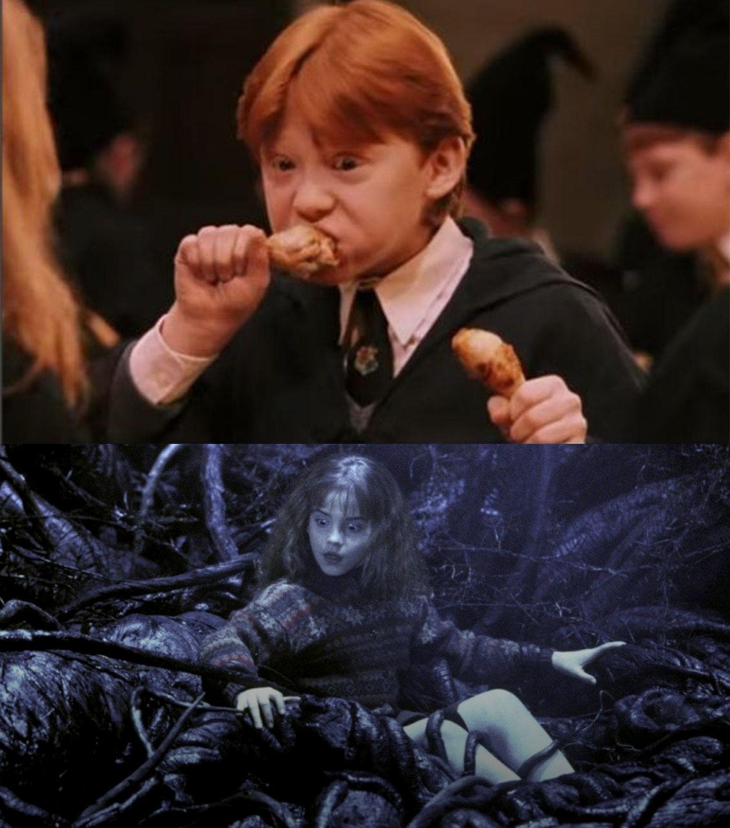 'Harry Potter' Fans Are Sharing The Most Annoying, Useless Scenes That ...