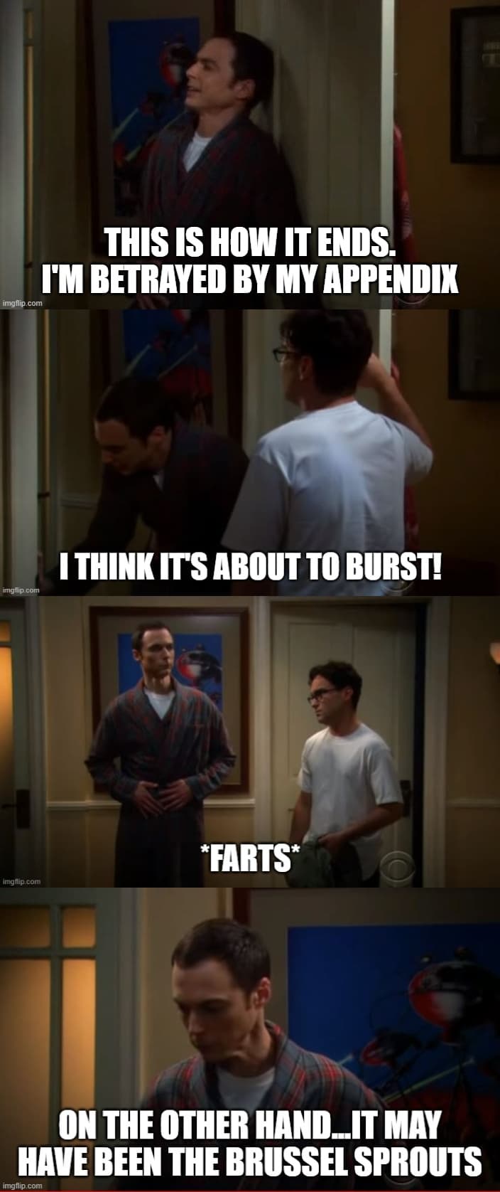 12 Times Sheldon Cooper Was Actually Wrong