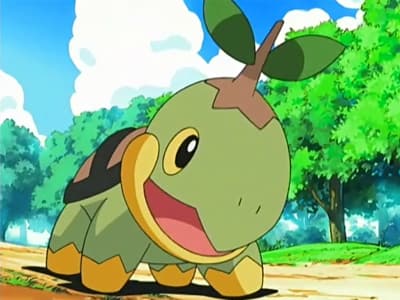 20 Things You Didn't Know About Pokemon Gym Leaders