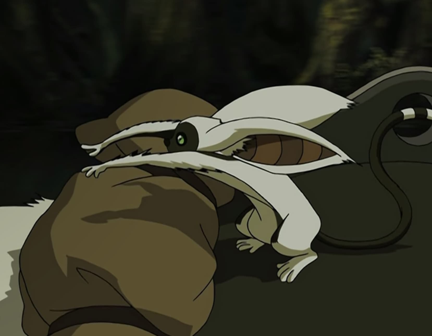 Who Is Momo, The Flying Lemur From 'Avatar: The Last Airbender'?