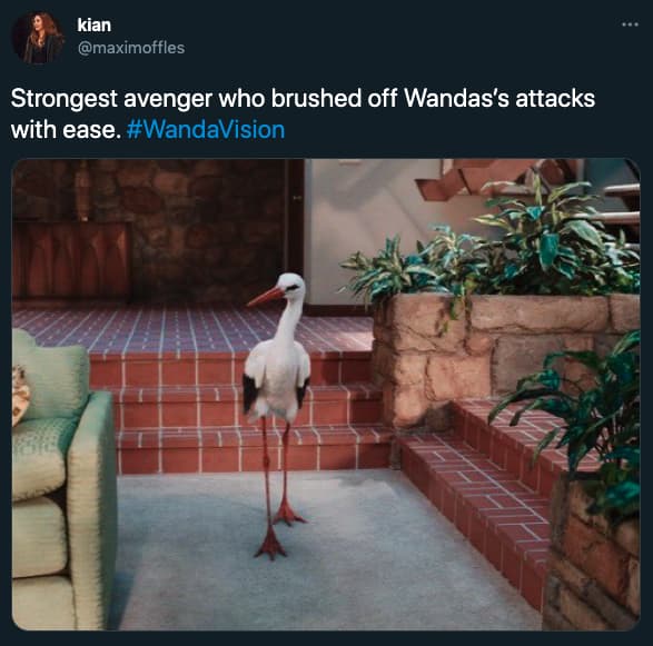 21 MCU Fans Point Things About The Scarlet Witch We Never Noticed Before