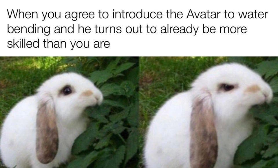 19 More Katara Memes That Prove She's Our True Sugar Queen