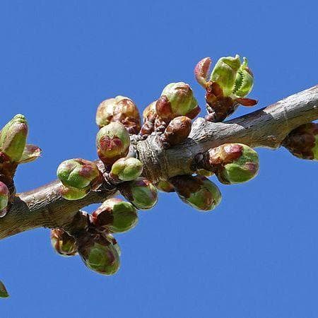 25+ Commonly Misused English Words And Phrases That Literally Make Us ...